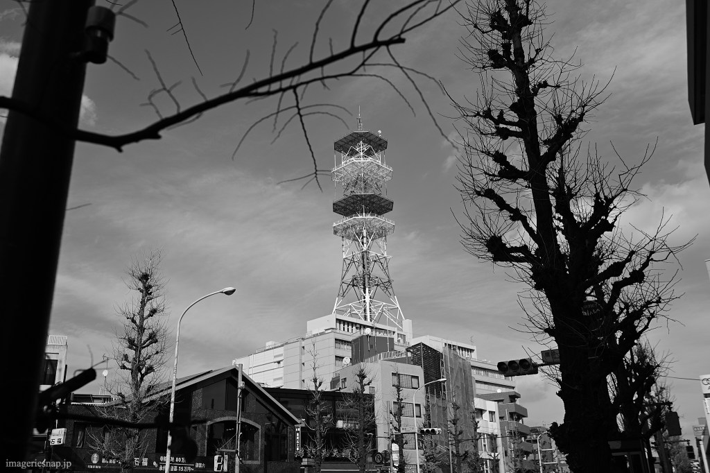 black and white – Imagerie Snap